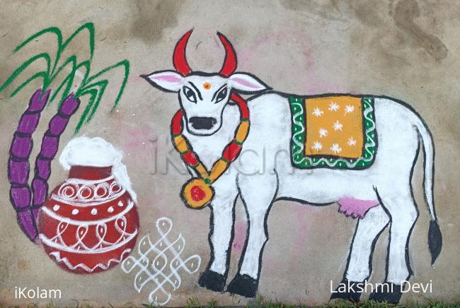 MATTU PONGAL RANGOLI - iKolam